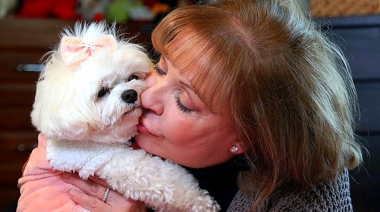 Woman Leaves 1 5 Million To Her Dog Protect Your Pet