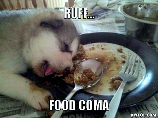 24 Adorable Animals Who Ate Themselves Into a Food Coma - LIFE WITH DOGS 24 Adorable Animals Who Ate Themselves Into a Food Coma - LIFE WITH DOGS