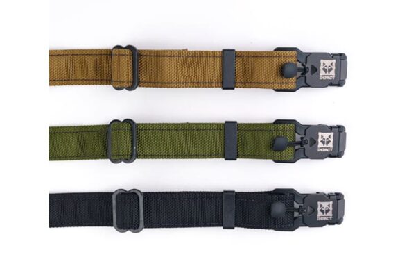 8 Types of Dog Leashes & How to Choose the Best One